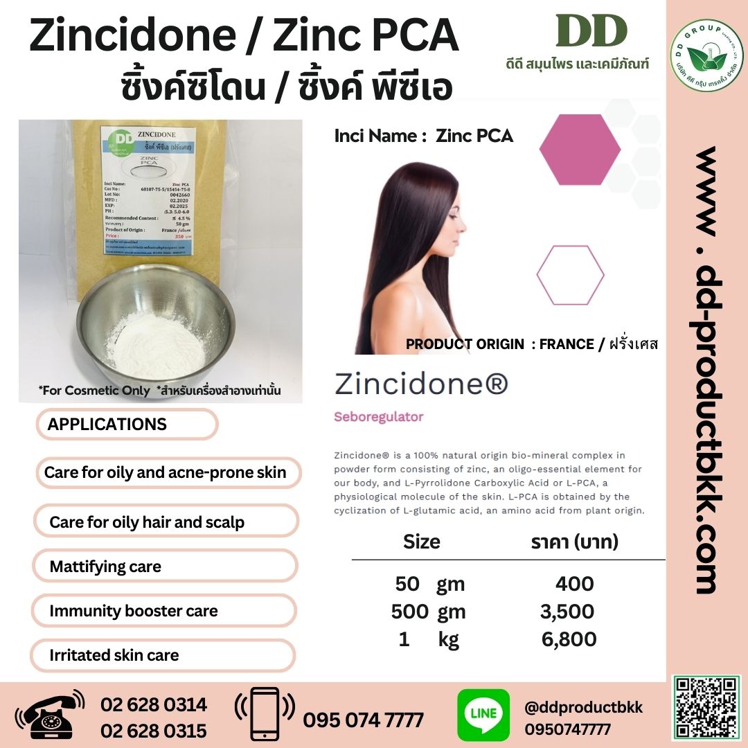 ซิ้ง พีซีเอ ZINC PCA