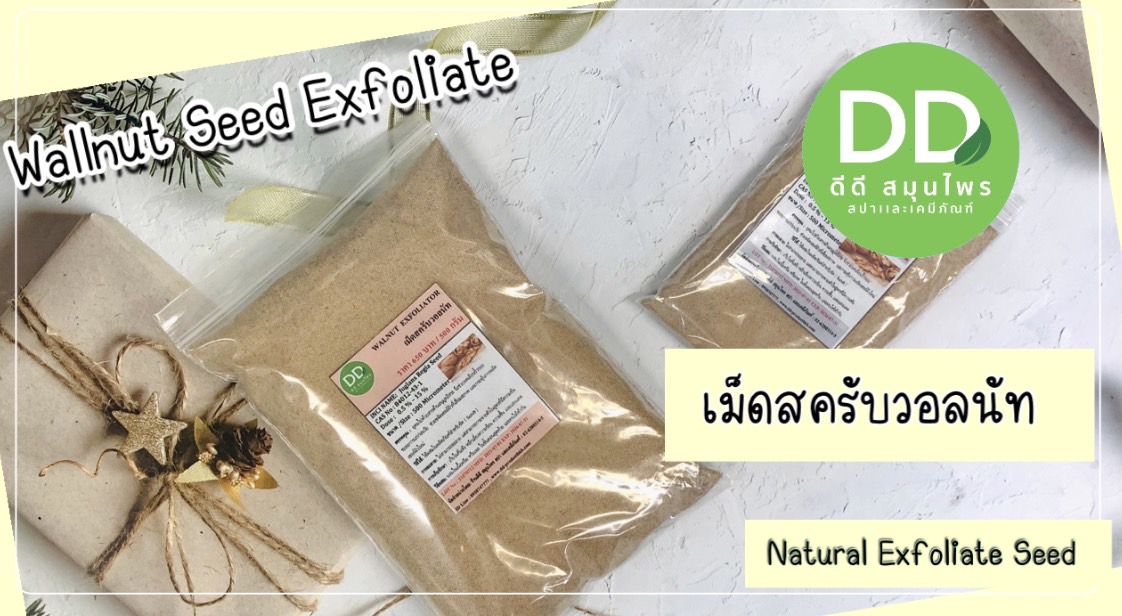 เมล็ดวอลนัท Wall nut Seed